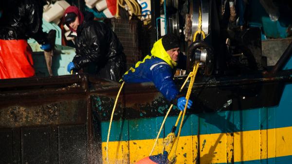 Blown Off Course | Deadliest Catch | Videos | discovery+