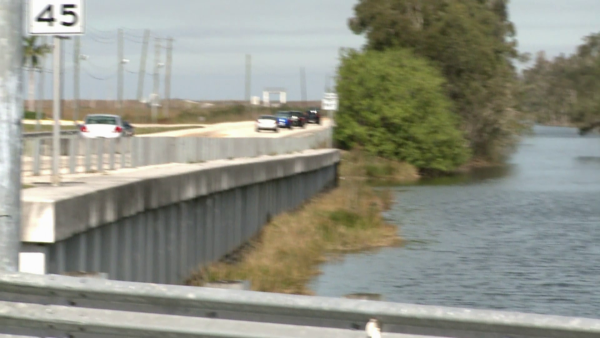 Man-Eating Super Snake | Man-Eating Super Snake | Videos | discovery+