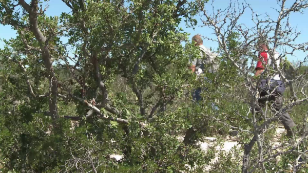 The Ultimate Snake Show | Rattlesnake Republic | Videos | discovery+