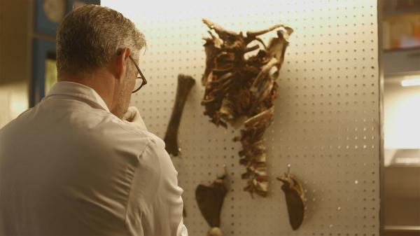 Unburying The Truth | The Coroner: I Speak For The Dead | Videos ...