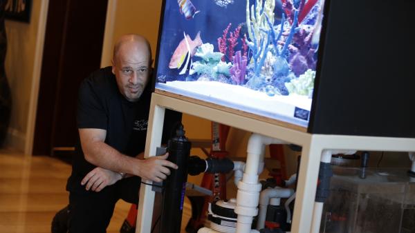 Shaq-A-Tank! | Tanked | Videos | discovery+
