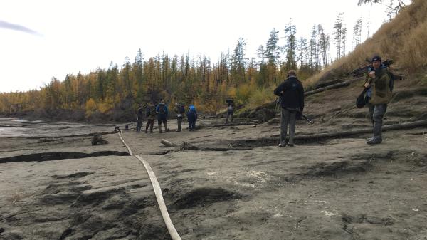 Lost Beasts Of The Ice Age | Lost Beasts Of The Ice Age | Videos ...