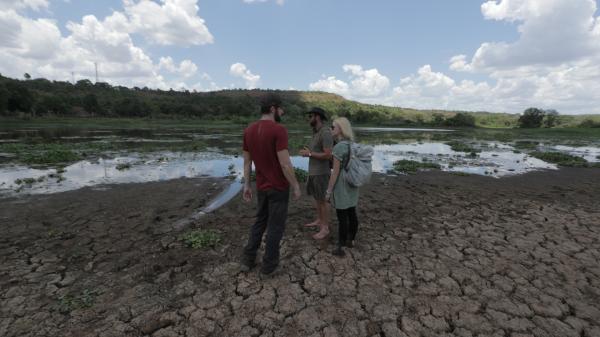 Dwarf Hippo | Extinct Or Alive | Videos | discovery+