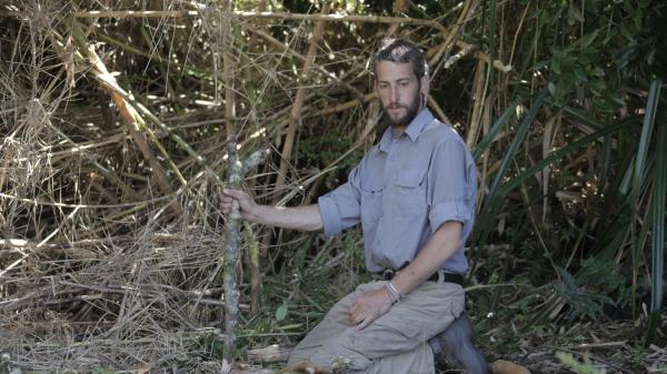 Episode 8 | Wheel: Survival Games | Videos | discovery+