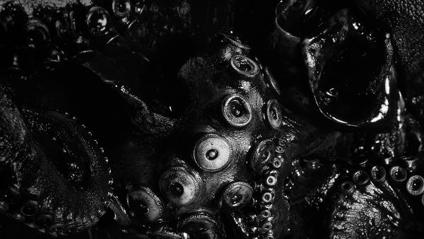 Monsters Of The Abyss | Shows | discovery+