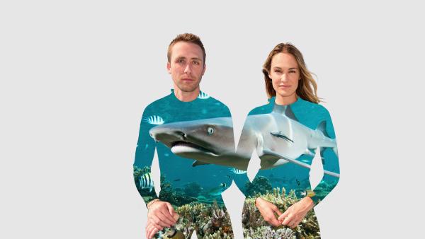 Nuclear Sharks | Shows | discovery+