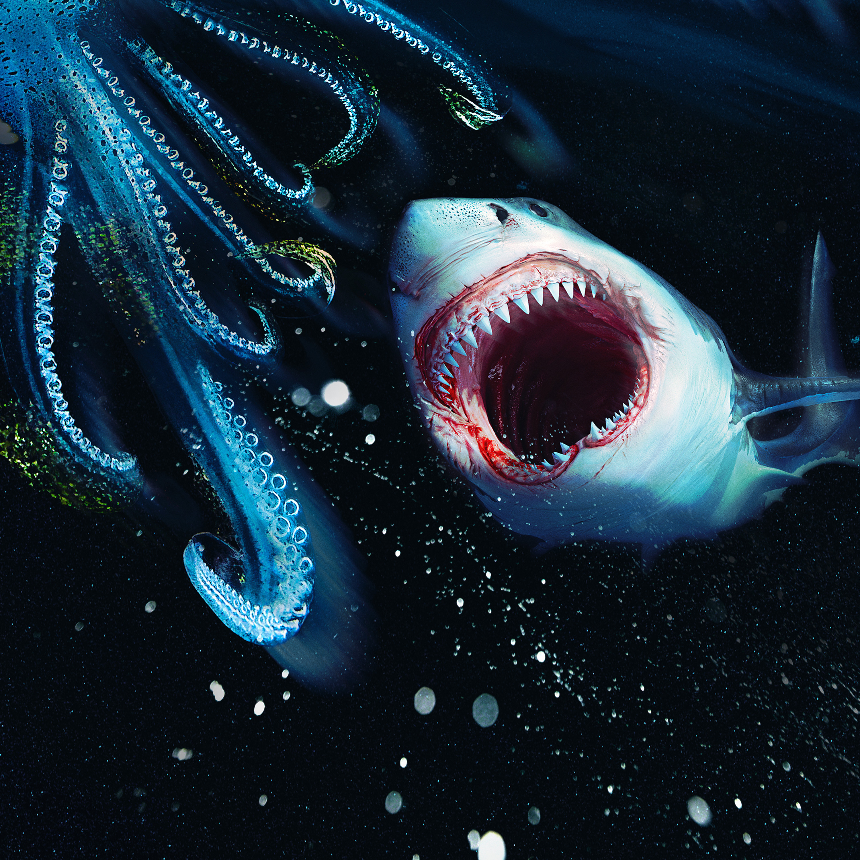 Giant Squid Vs Mega Shark