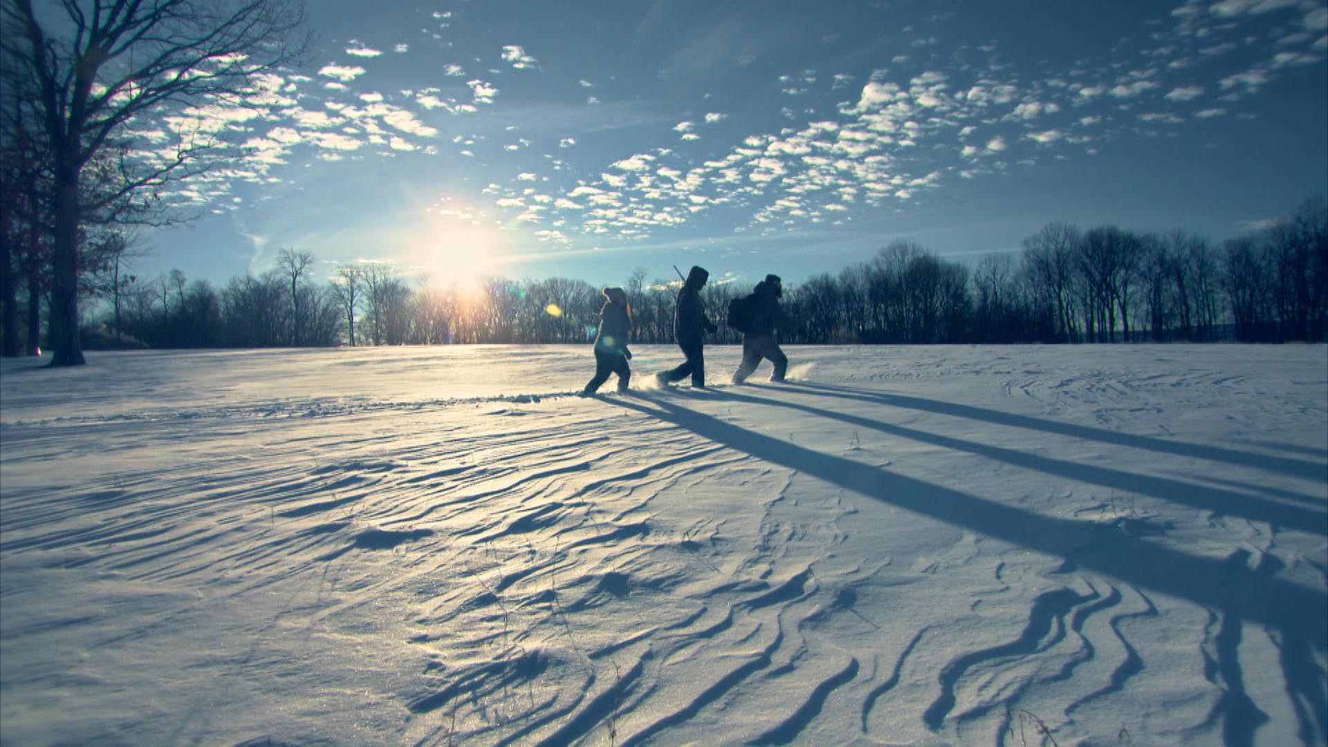 Home Rescue | Kostenlos online sehen | HGTV