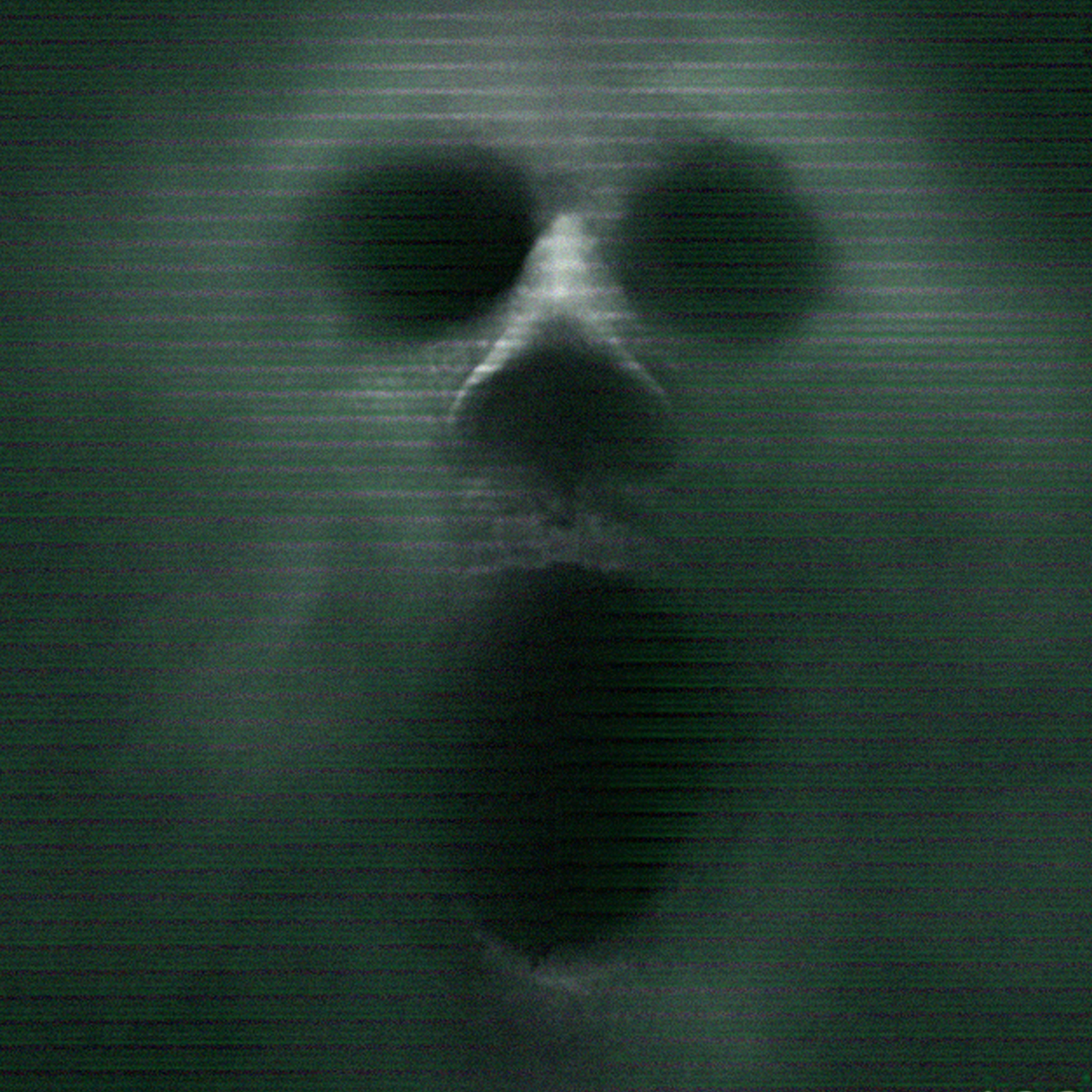 Unexplained Creatures Caught On Tape 2022